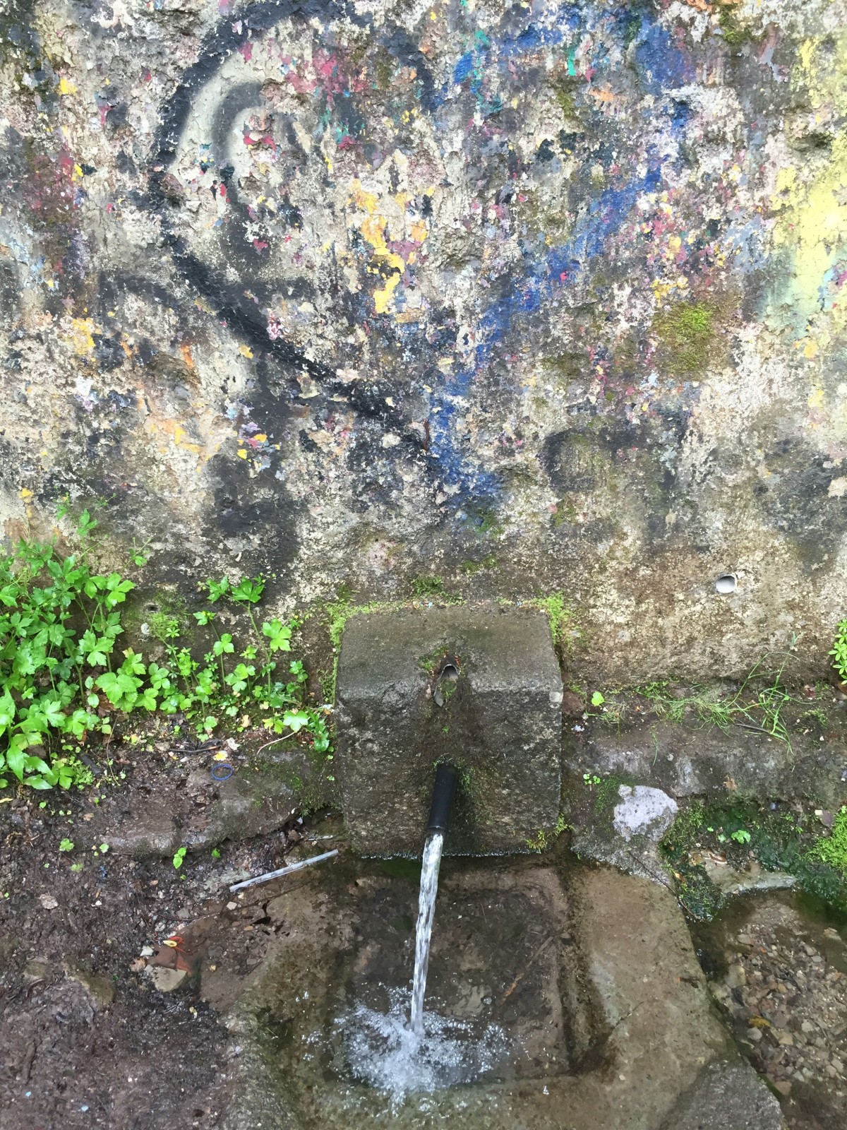 Greer Limestone Spring, Morgantown, WV 26505 - Find A Spring